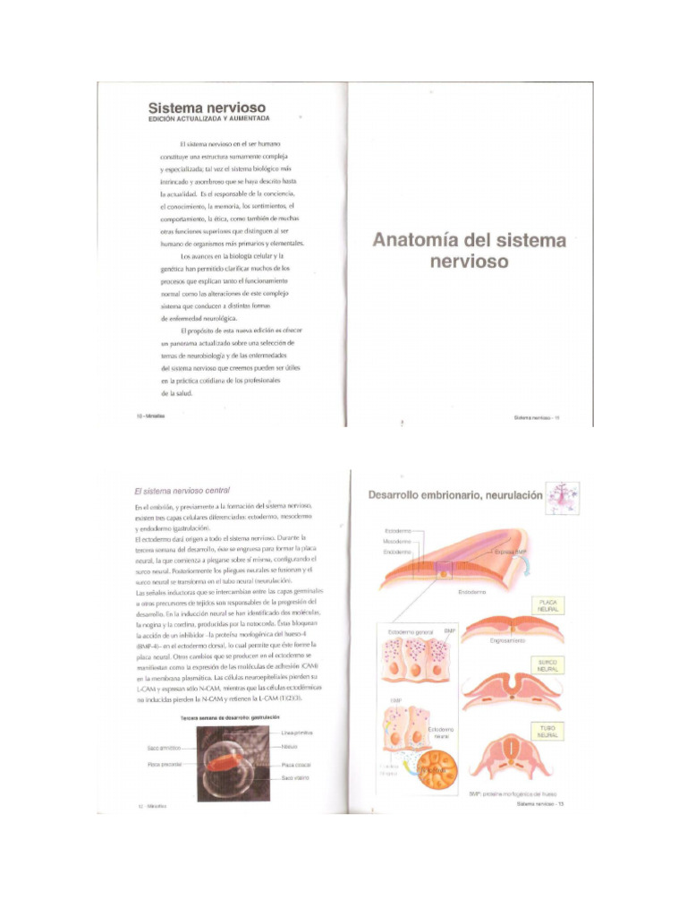 Atlas SNC | PDF