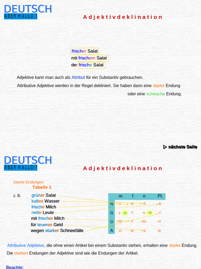 Thema Adjektiv-Deklination | PDF