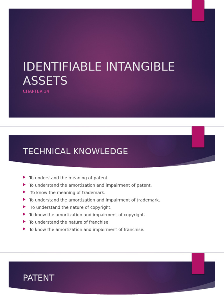 Identifiable Intangible Assets | PDF