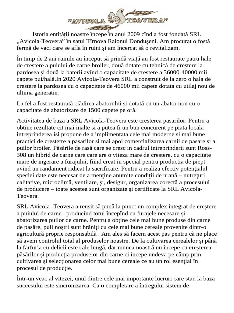 Descrierea Entitatii | PDF