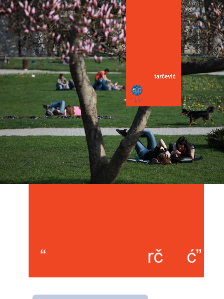 Dr. Ante Starcevic Brochure | PDF