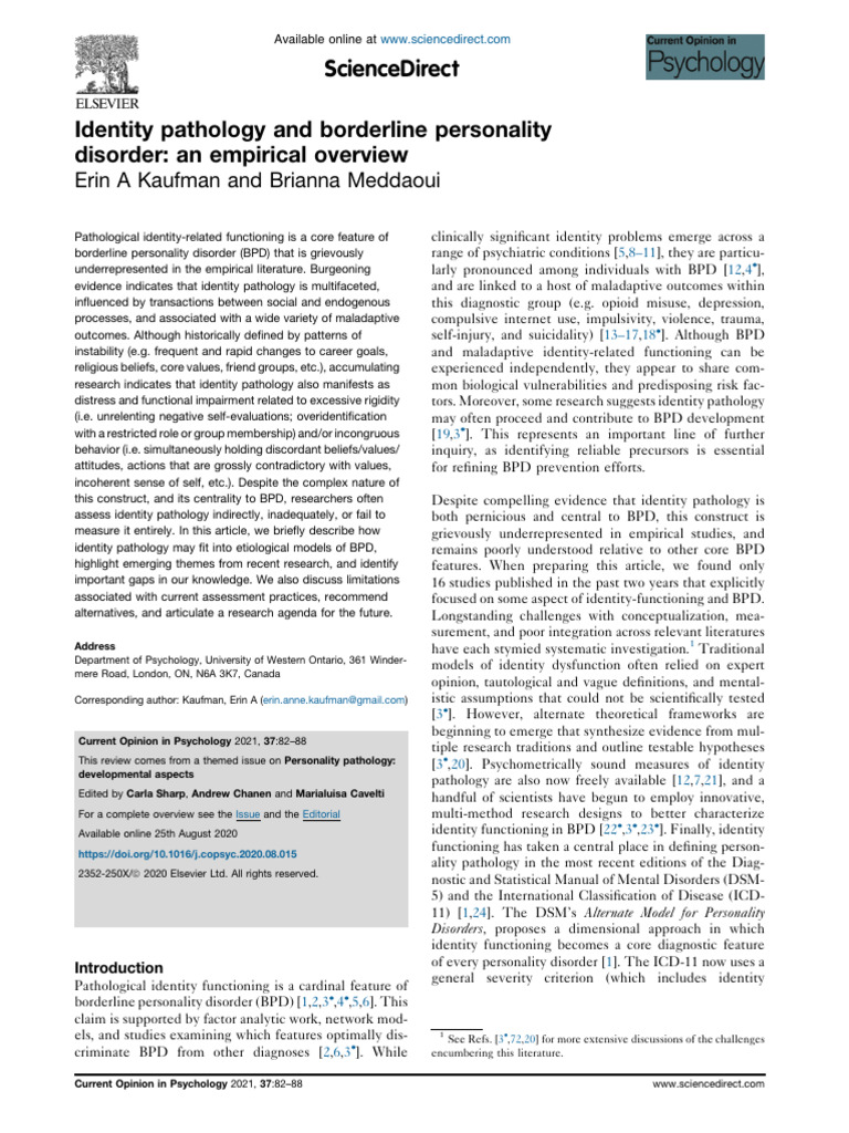 Identity in BPD Overview | PDF