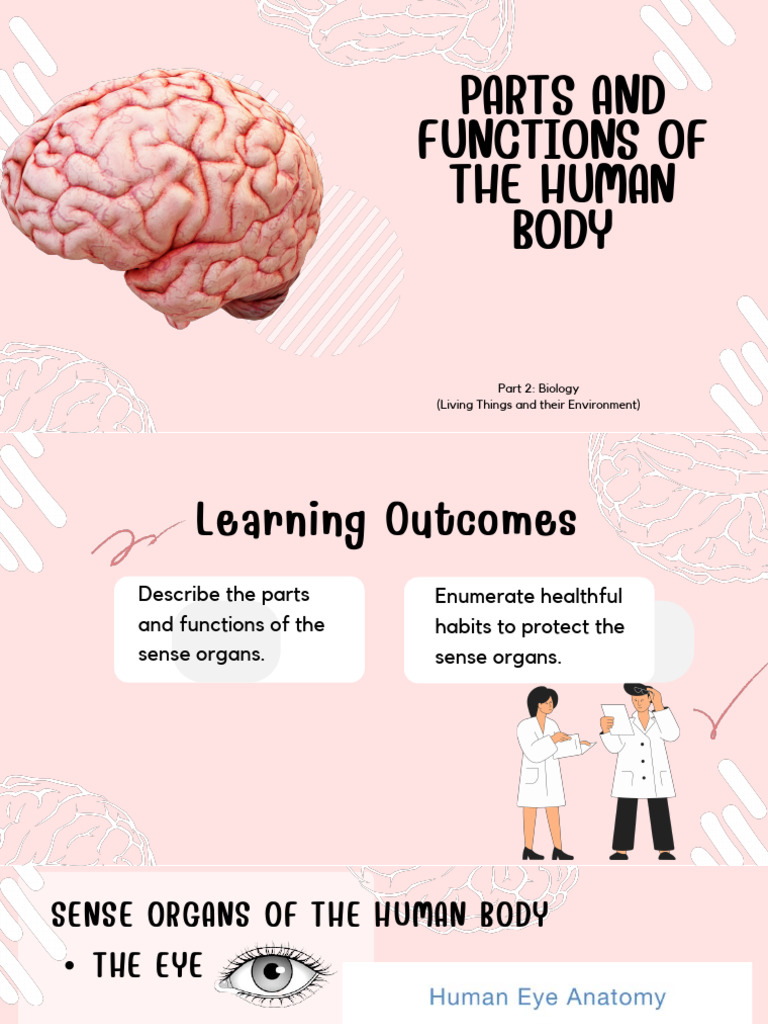 Module 3 - Parts and Functions of Human Being | PDF