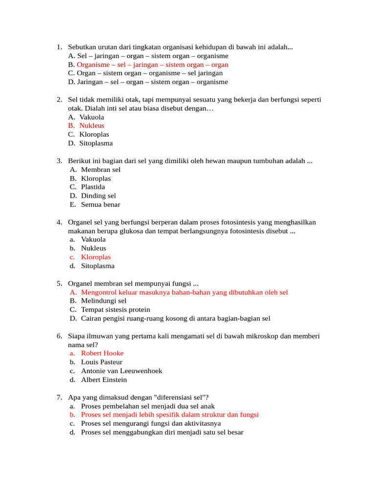 Soal Mid Semester | PDF