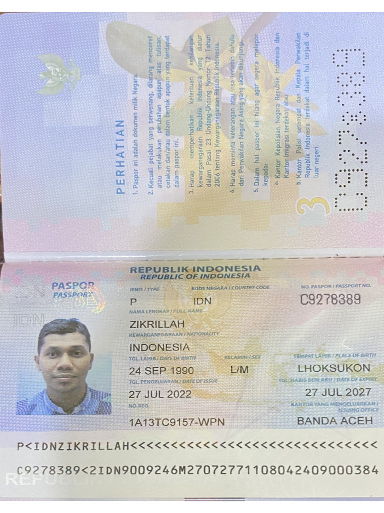 Format Pasport | PDF