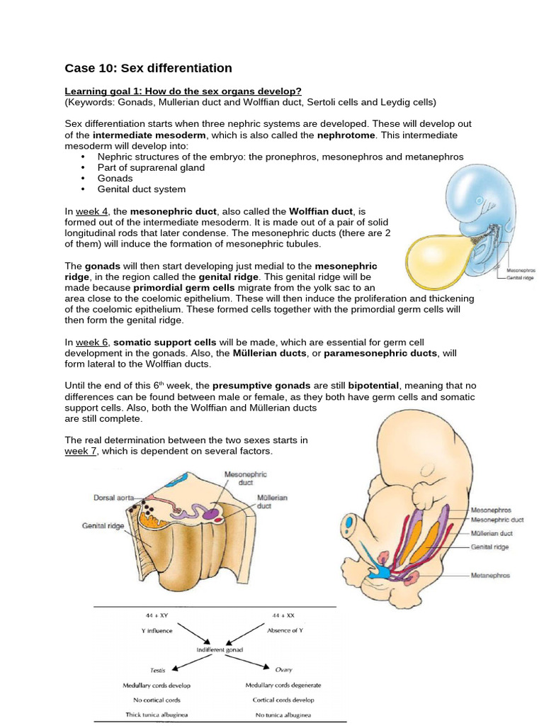 Case 10 Sex Differentiation Pdf