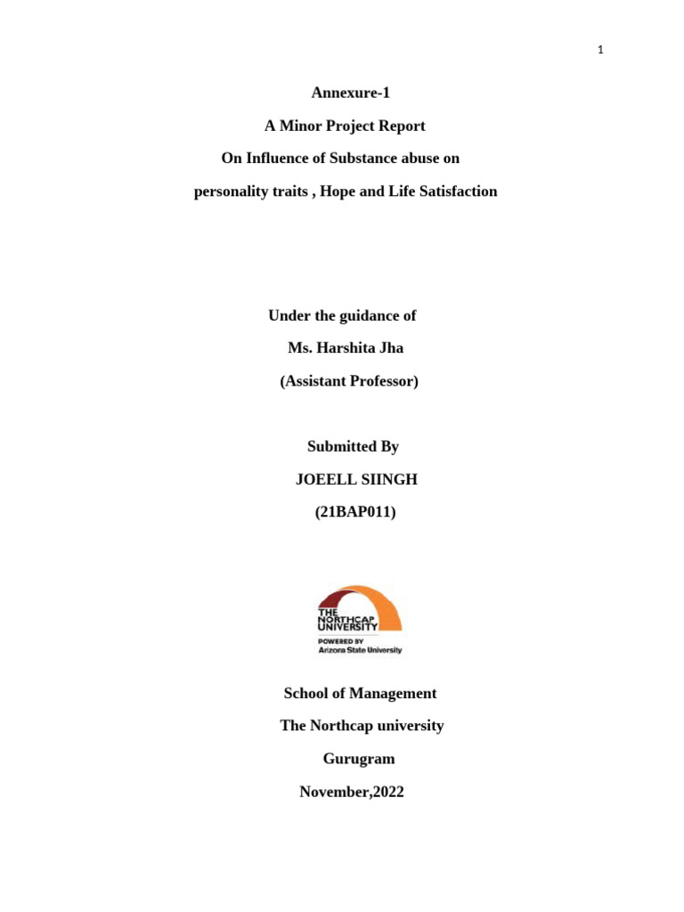 Research Paper Minor | PDF