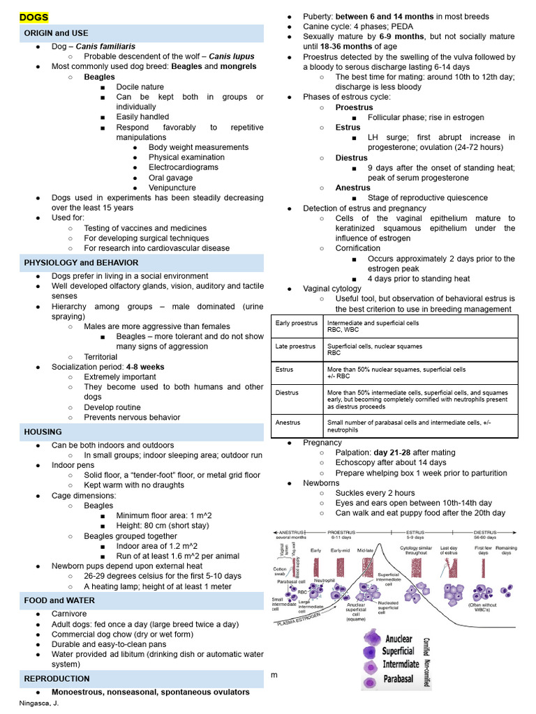 Lab Animal - Dogs and Small Ruminants | PDF