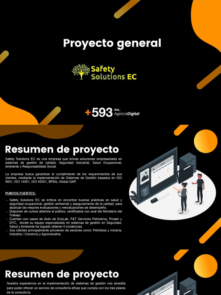 Proyecto General - Safety Solutions | PDF