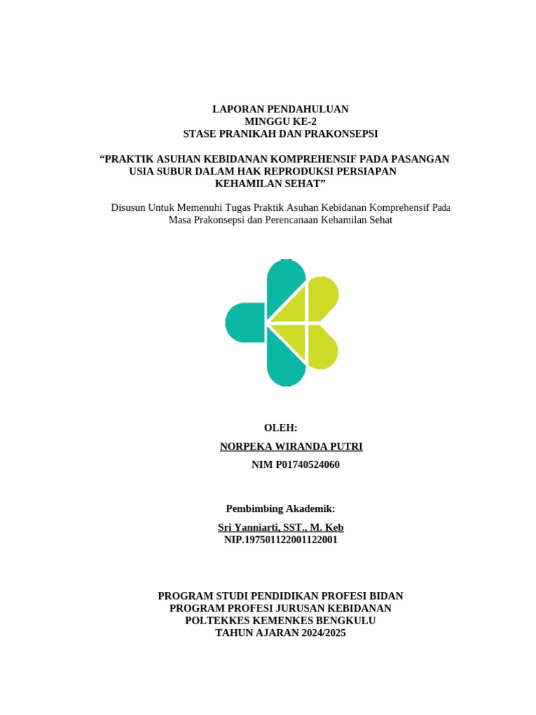 LP MG 2 Puskes NWP | PDF