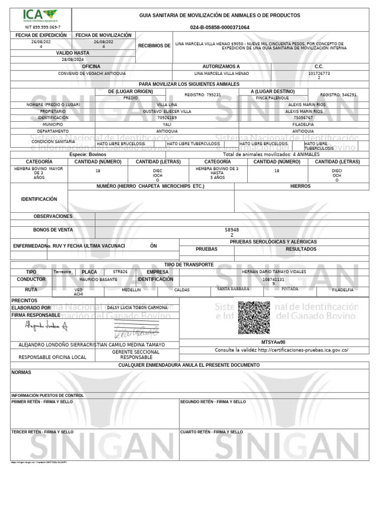 Formato Licencia Modi01 | PDF