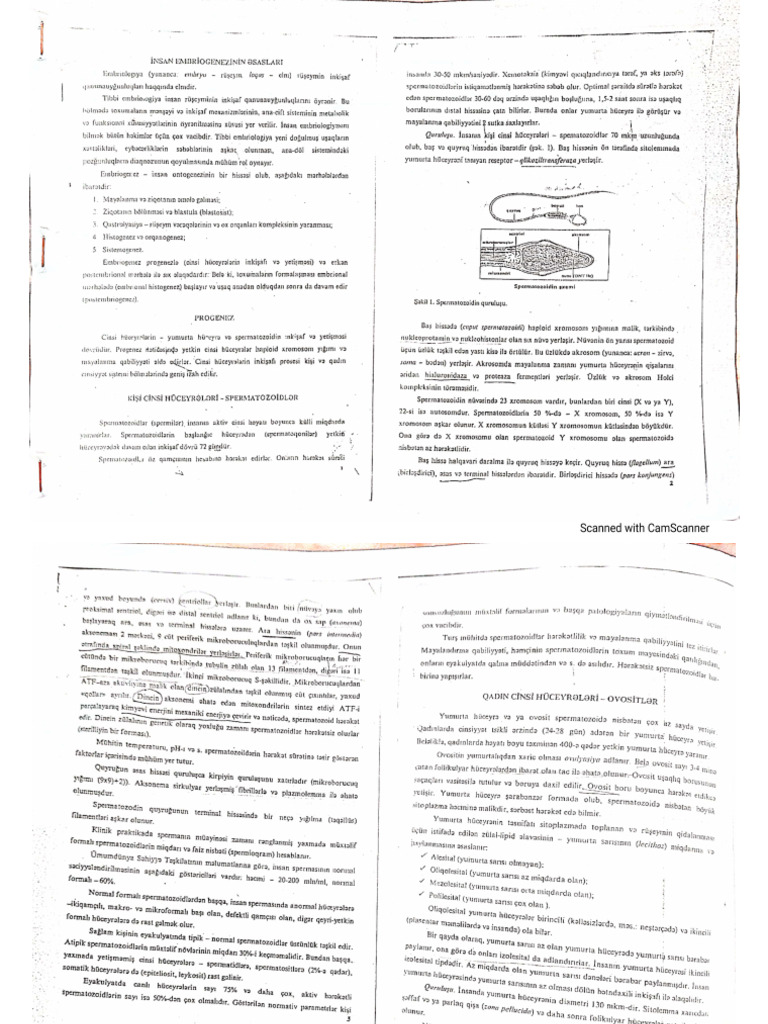 Embrio Konspekt | PDF