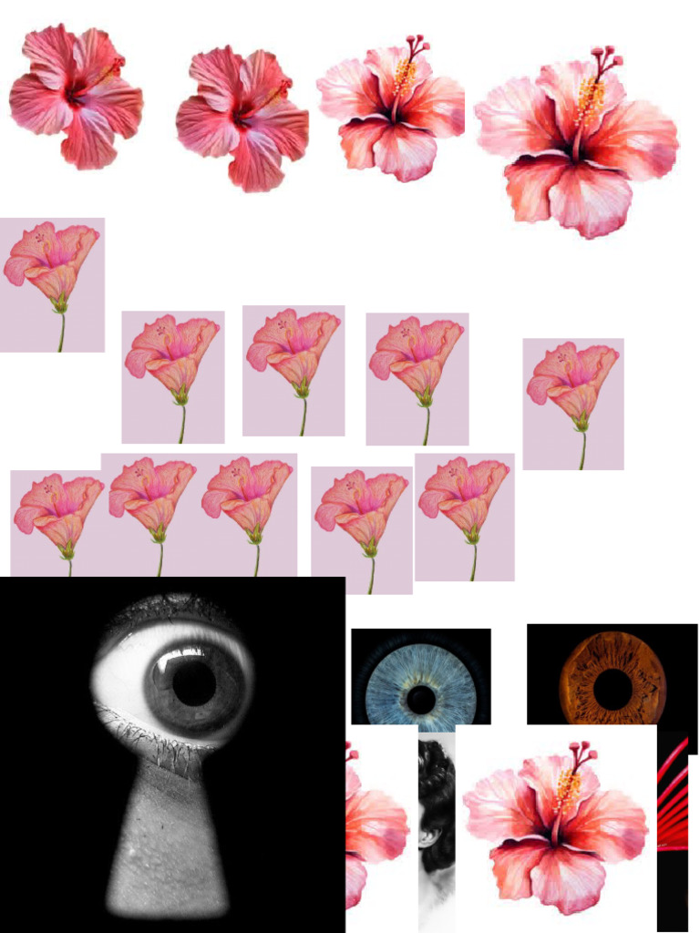 Imagenes Visuales | PDF