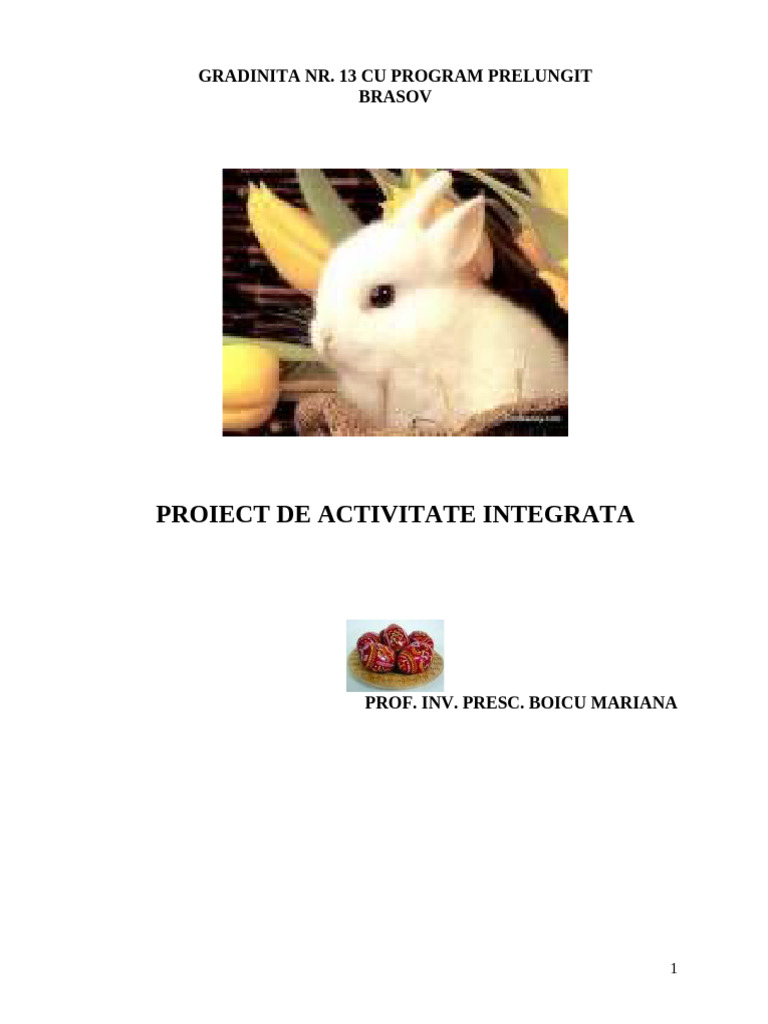 Proiect Activ Integrata DPM | PDF