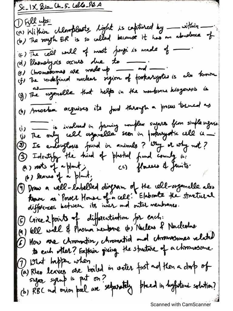 SC Ix Bio CH 5 Cells Pq.A | PDF