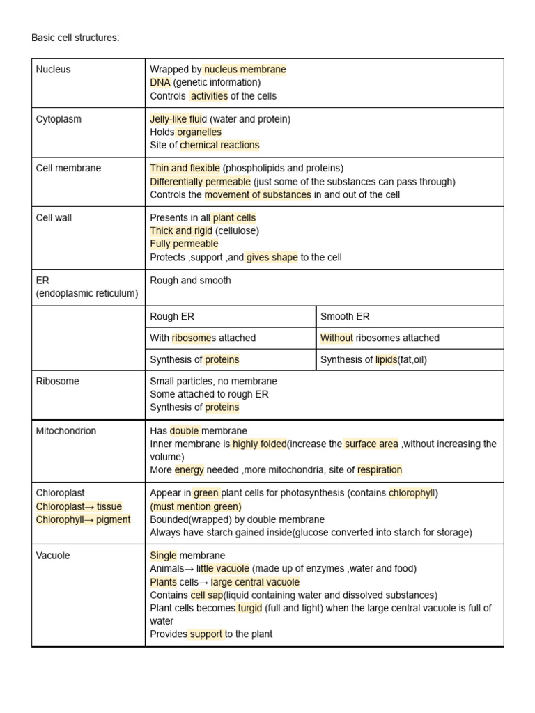 Basic Cell Structures | PDF