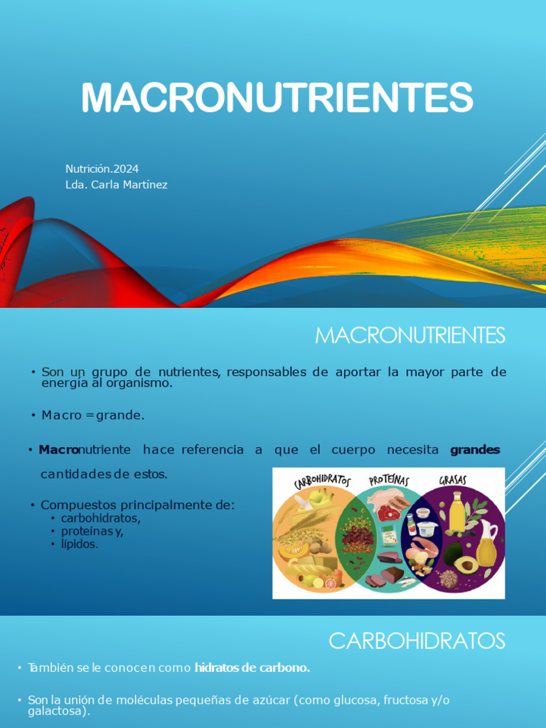 Macronutrientes | PDF