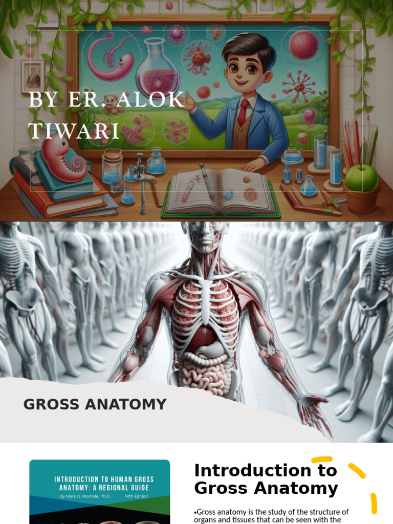 Lecture 1 Gross Anatomy | PDF | Human Body | Science & Mathematics