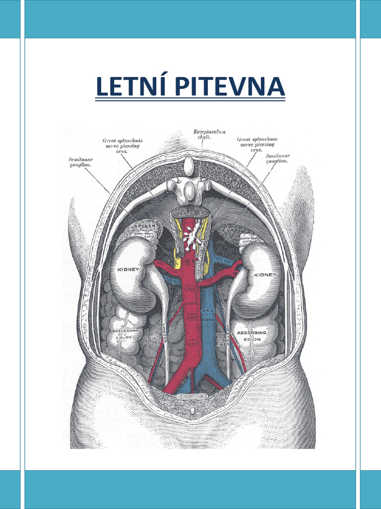 Letna Pitevna Skripta | PDF