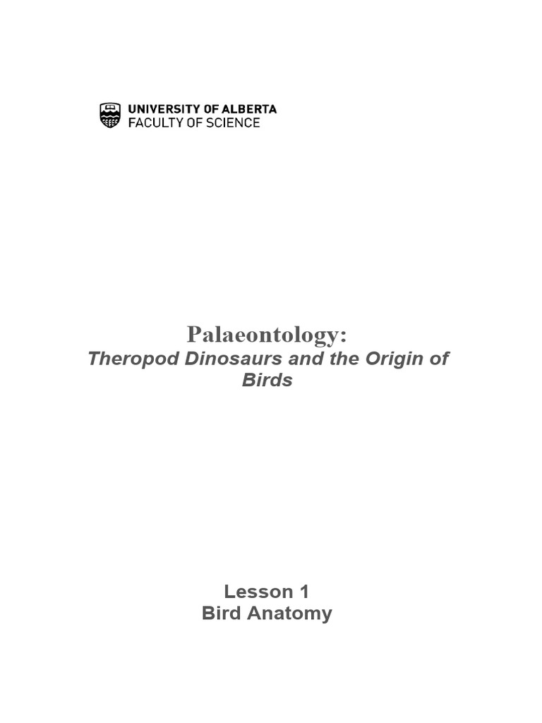 Anatomía de Las Aves | PDF