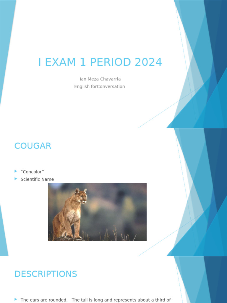 i Exam 1 Period 2024 Ian Meza 9-3 A | PDF