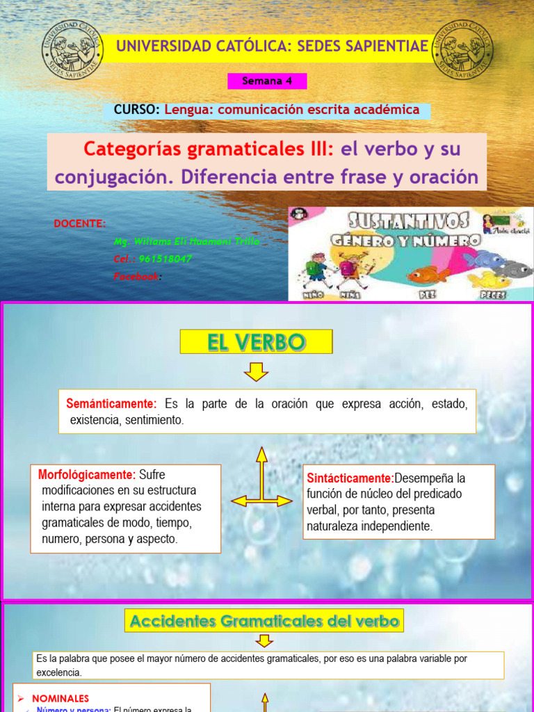 TEMA-comprimido | PDF