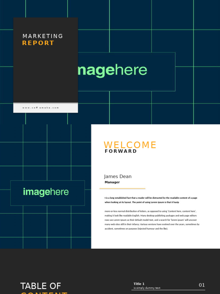 Professional powerpoint presentation template | PDF