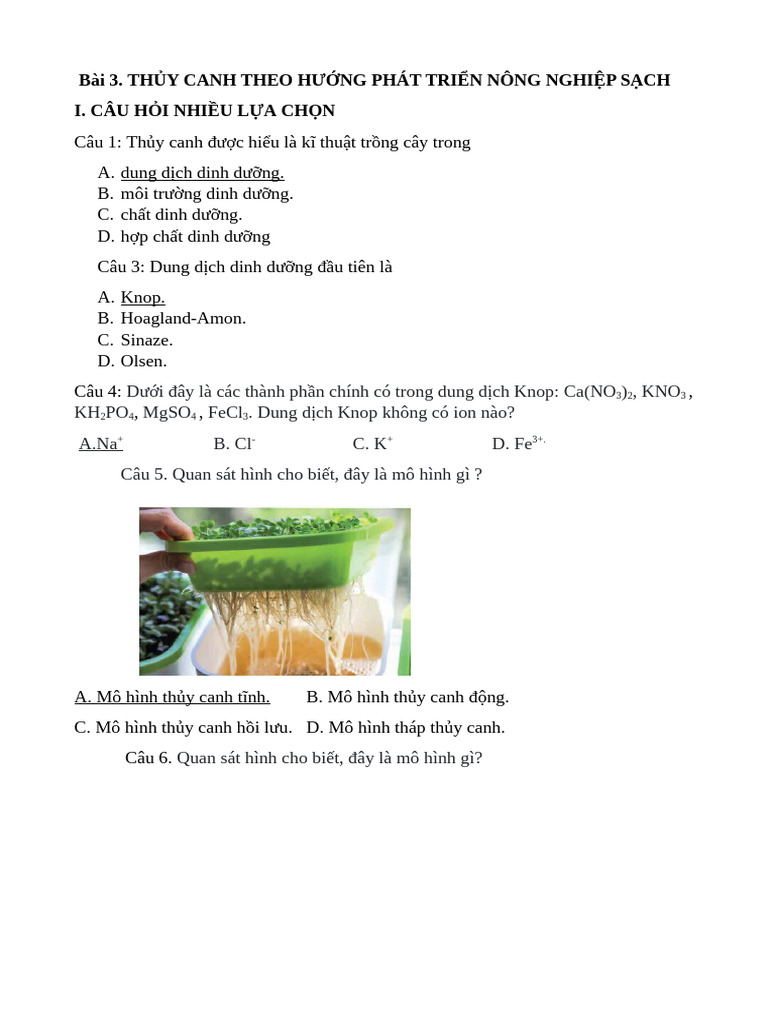 Nhchot - SCĐ - SH11 - Bai 3 | PDF