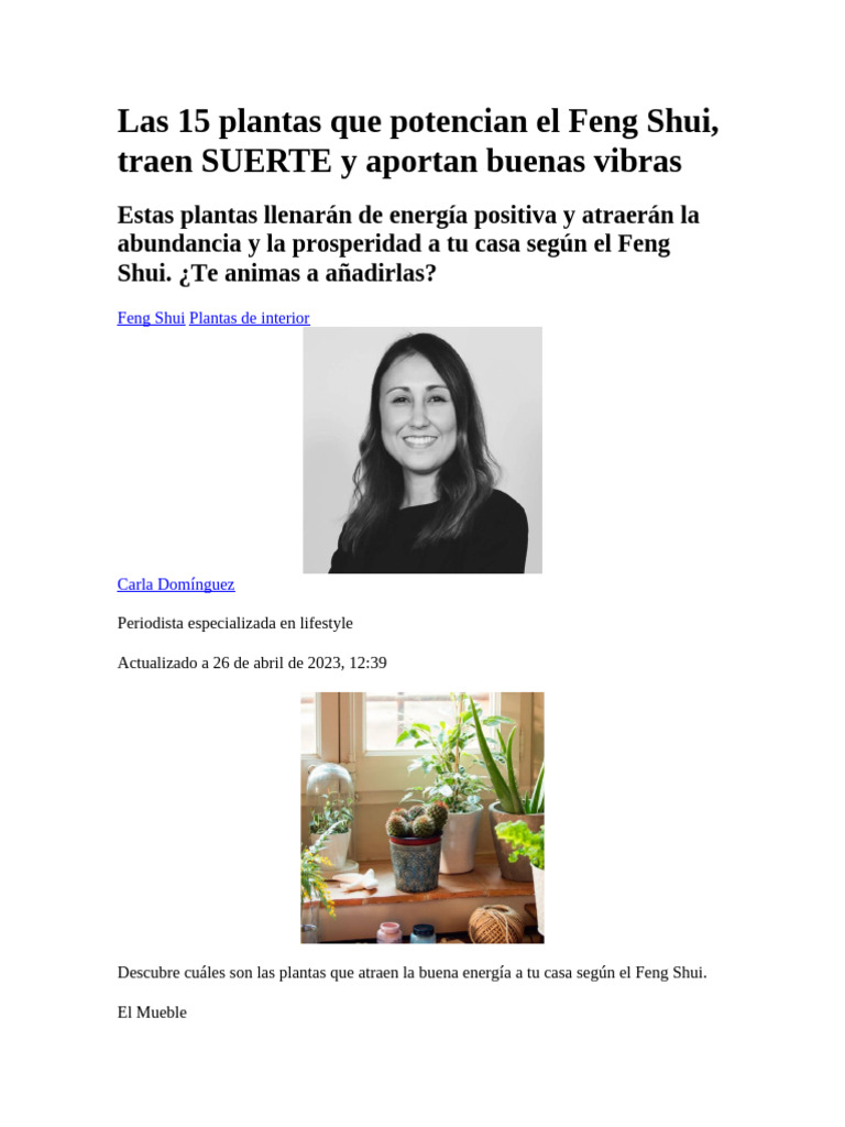 Las 15 Plantas Que Potencian El Feng Shui | PDF