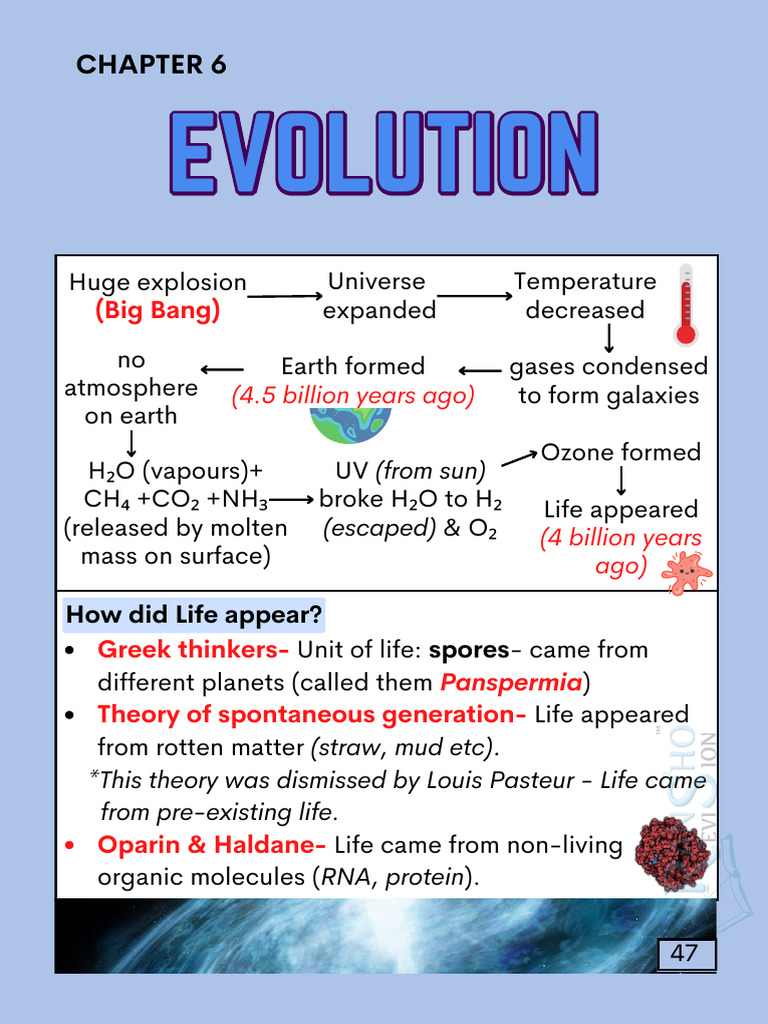Evolution | PDF