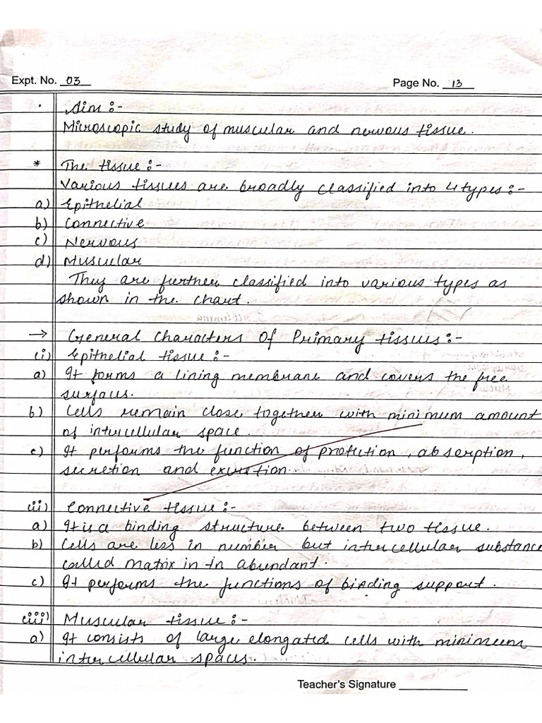 Hap Practical 3 | PDF