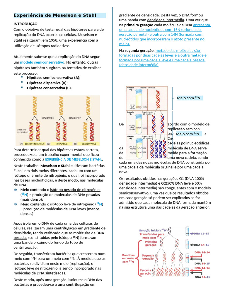 Experiência de Meselson e Stahl | PDF