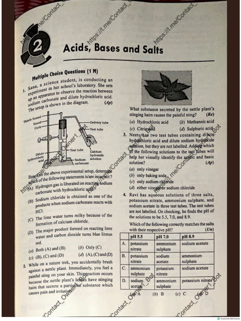 Ch-2 PW Competency Book | PDF