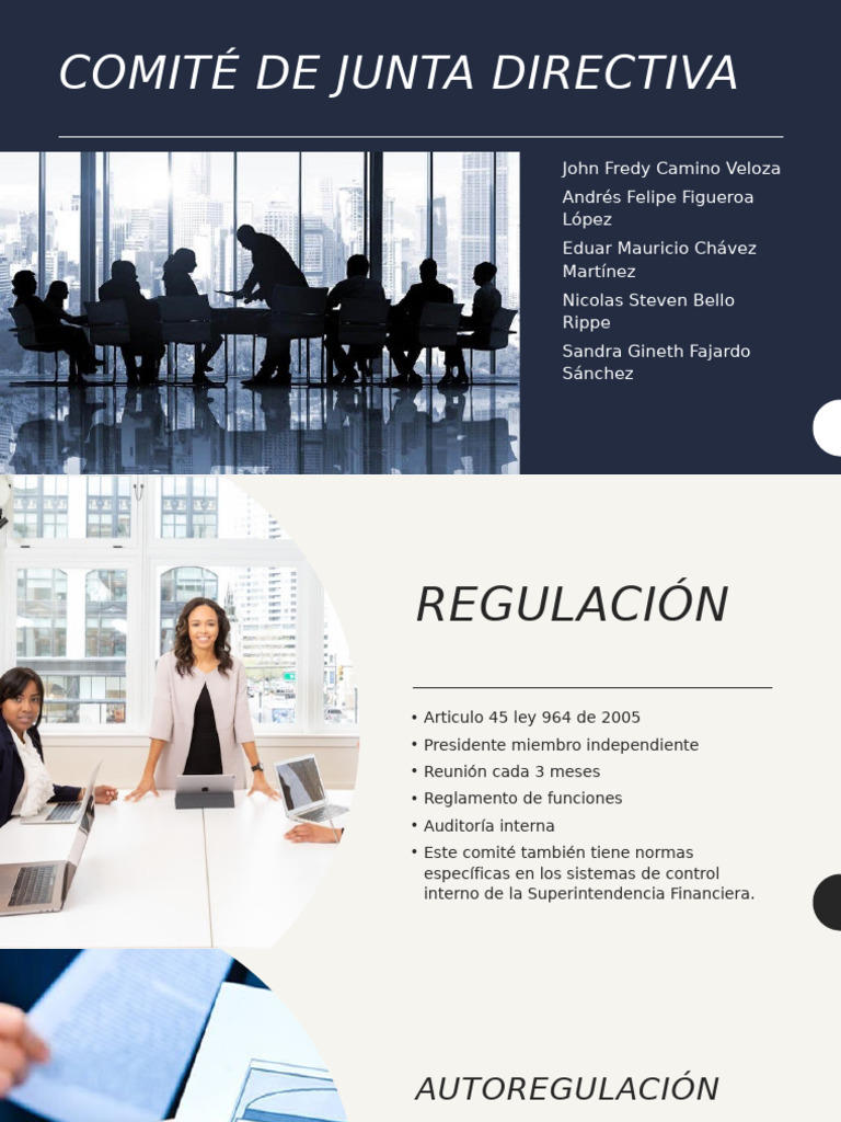 Comité de Junta Directiva | PDF