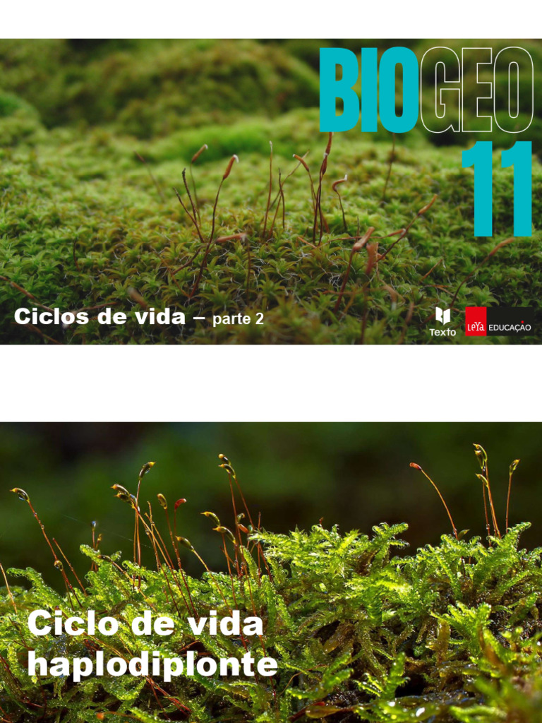 Ciclos de Vida - Biologia | PDF