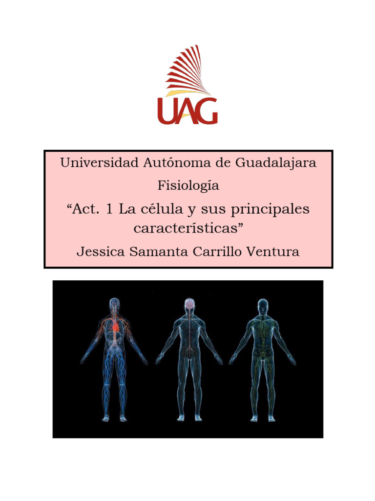 Act1 Fisio | PDF