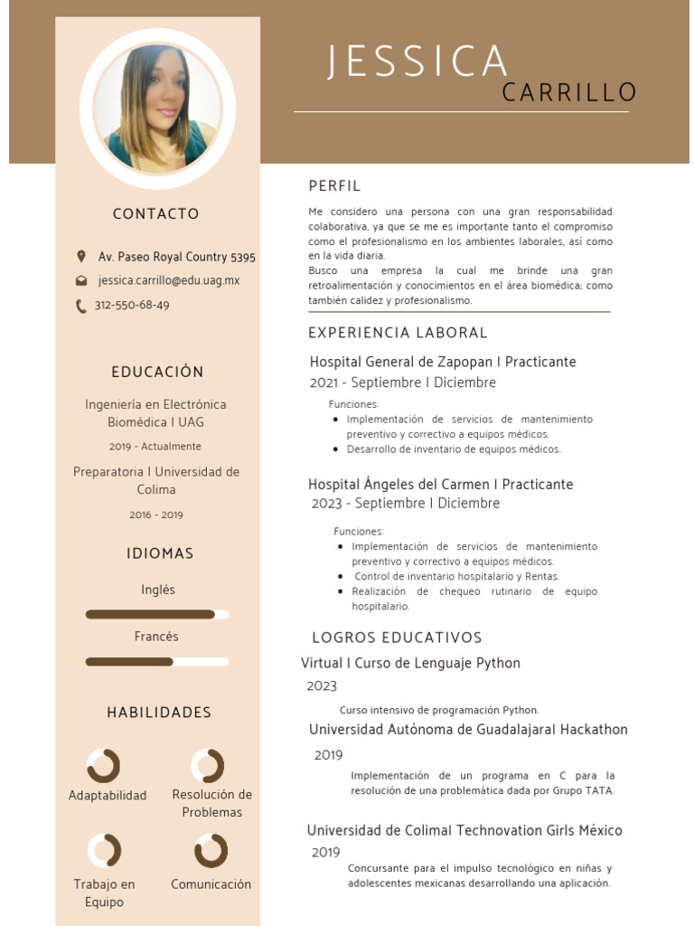 CV Jessica Carrillo | PDF