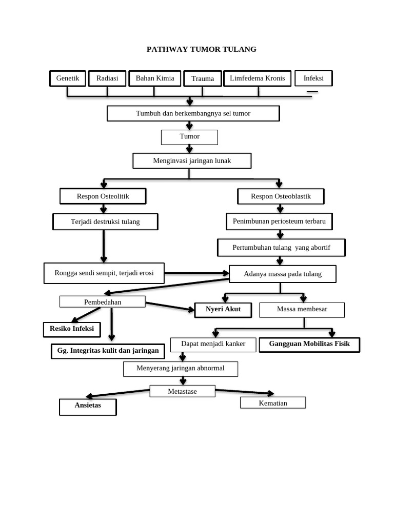 Pathway Tumor Tulang | PDF
