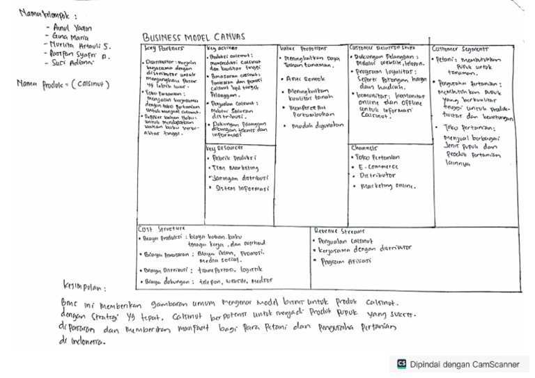 Calsinut E-Commerce BMC | PDF