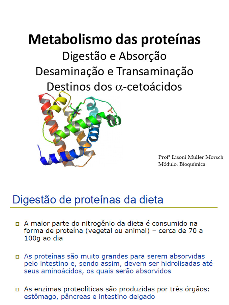 Metabolismo Das Proteínas 2022-2 Alunos | PDF