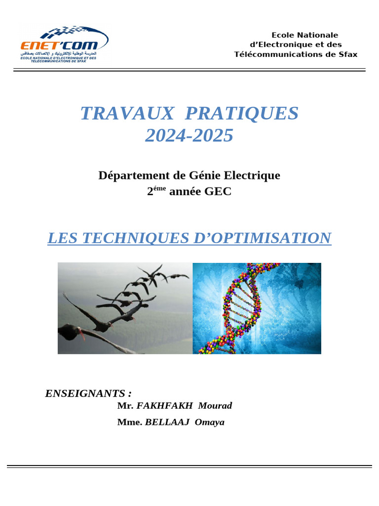 TP tech optim-2024-2025 | PDF