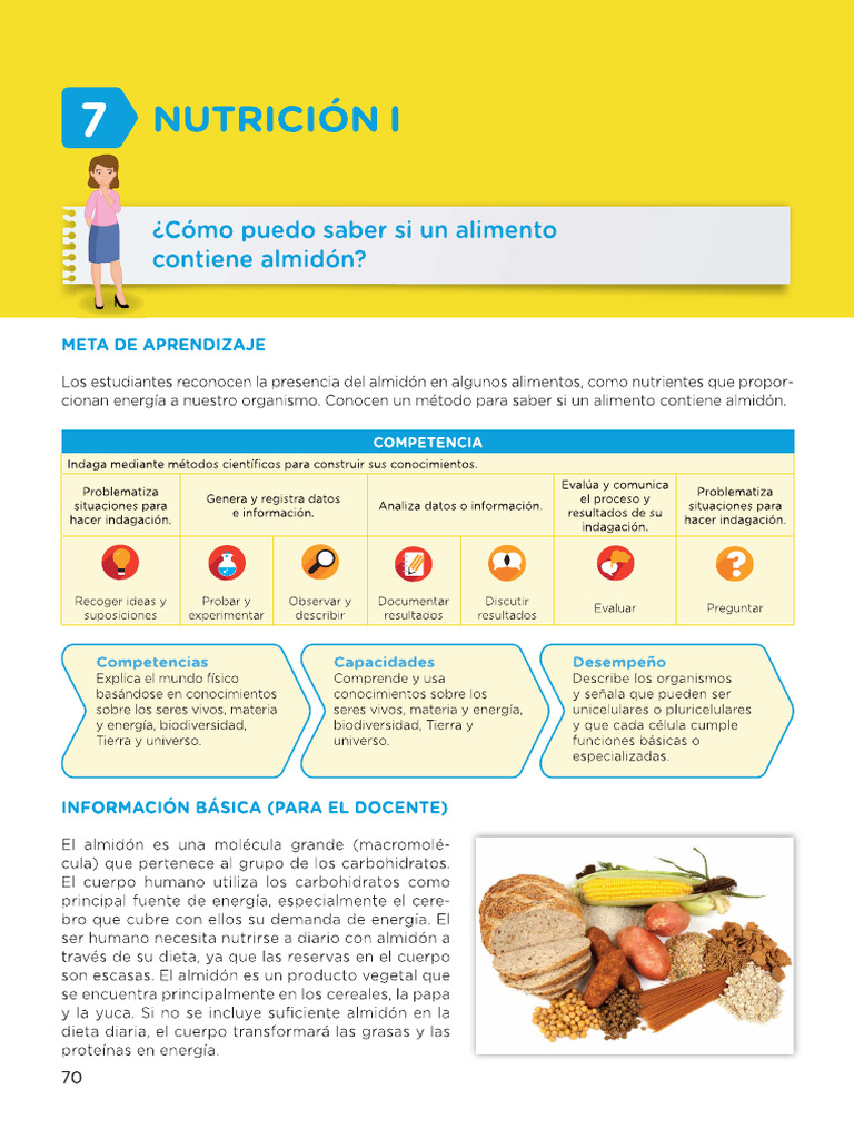 Experimento sobre el almidón en alimentos | PDF | Carbohidratos | Almidón