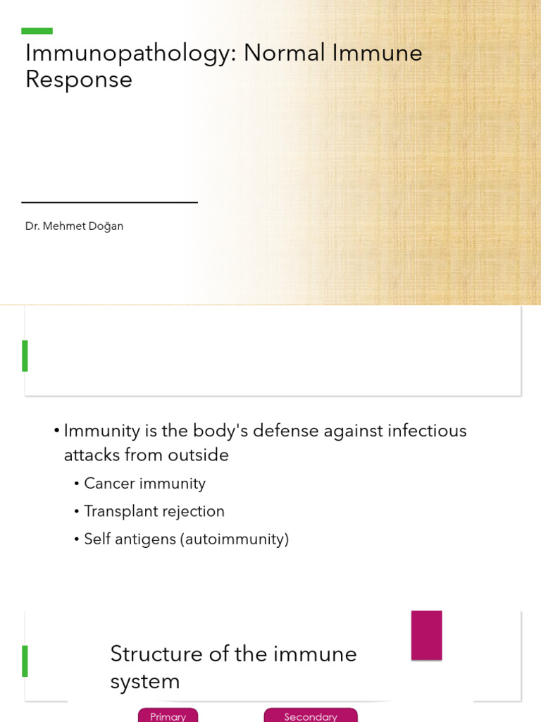 Normal Immune Response | PDF