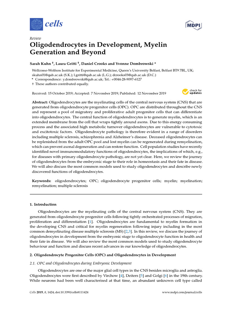 Oligodendrocytes in Development, Myelin Generation and Beyond. | PDF