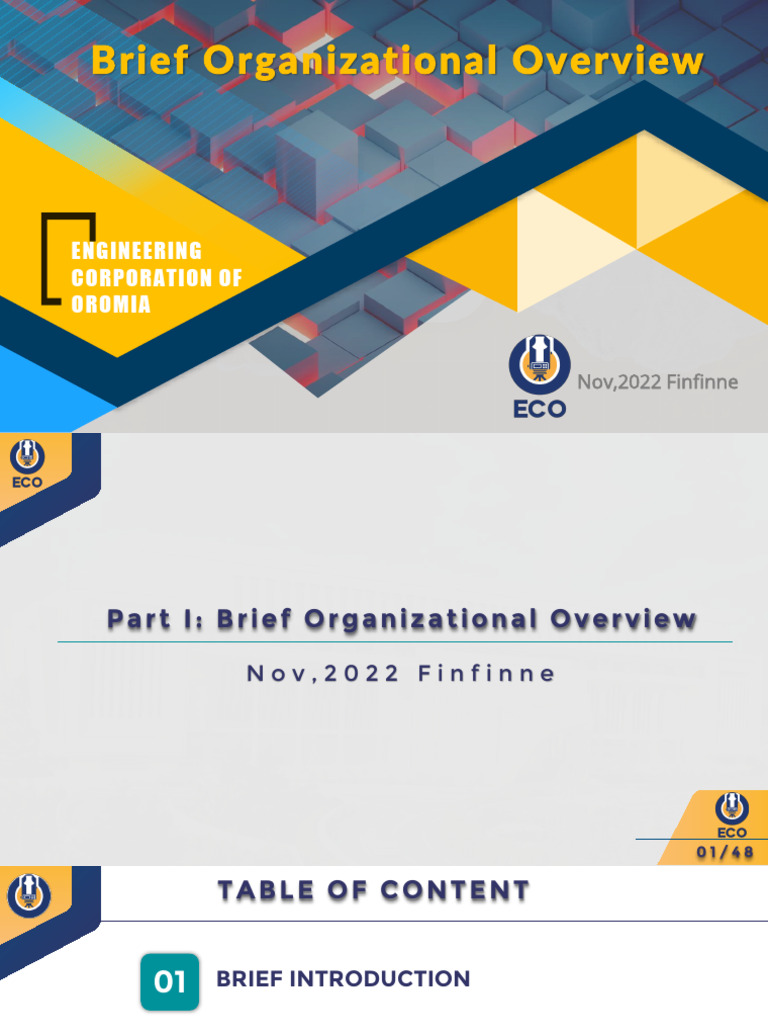 2022 - ECO Profile & Qurater I Progress Report | PDF