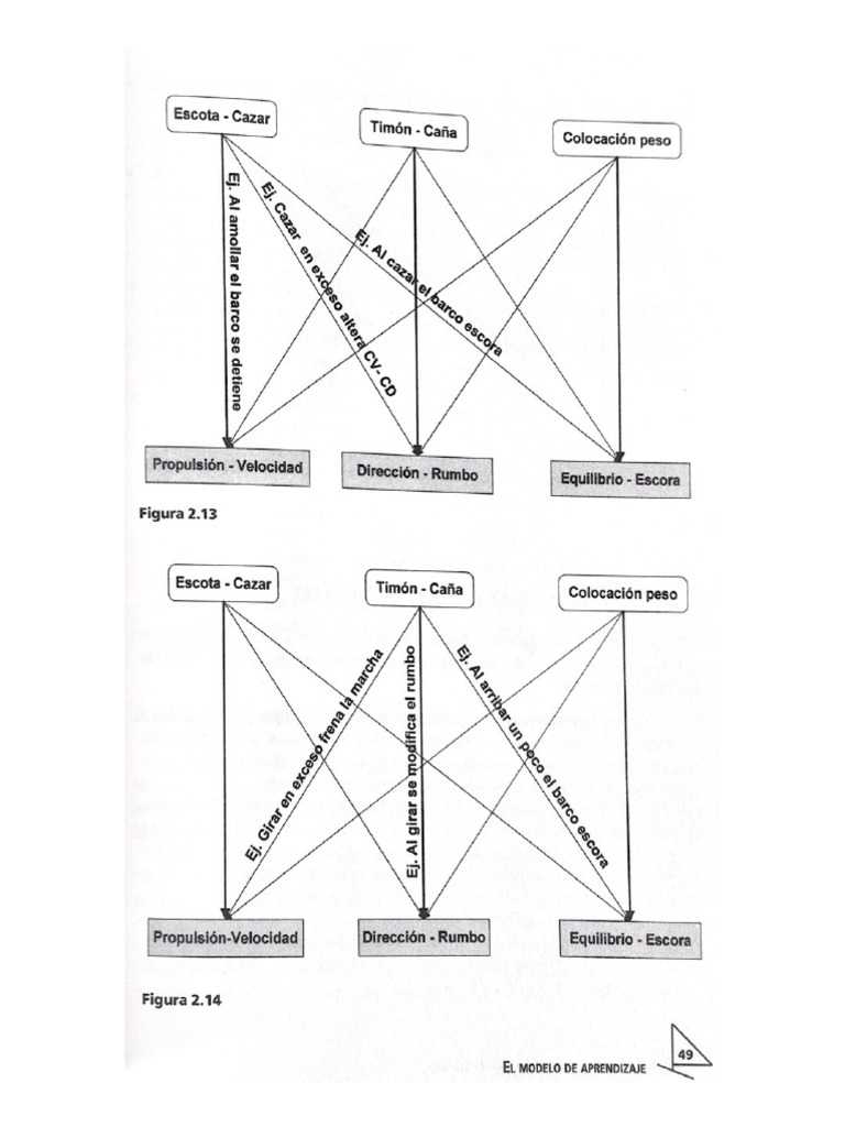 Esquema Causal Inicial Renom | PDF