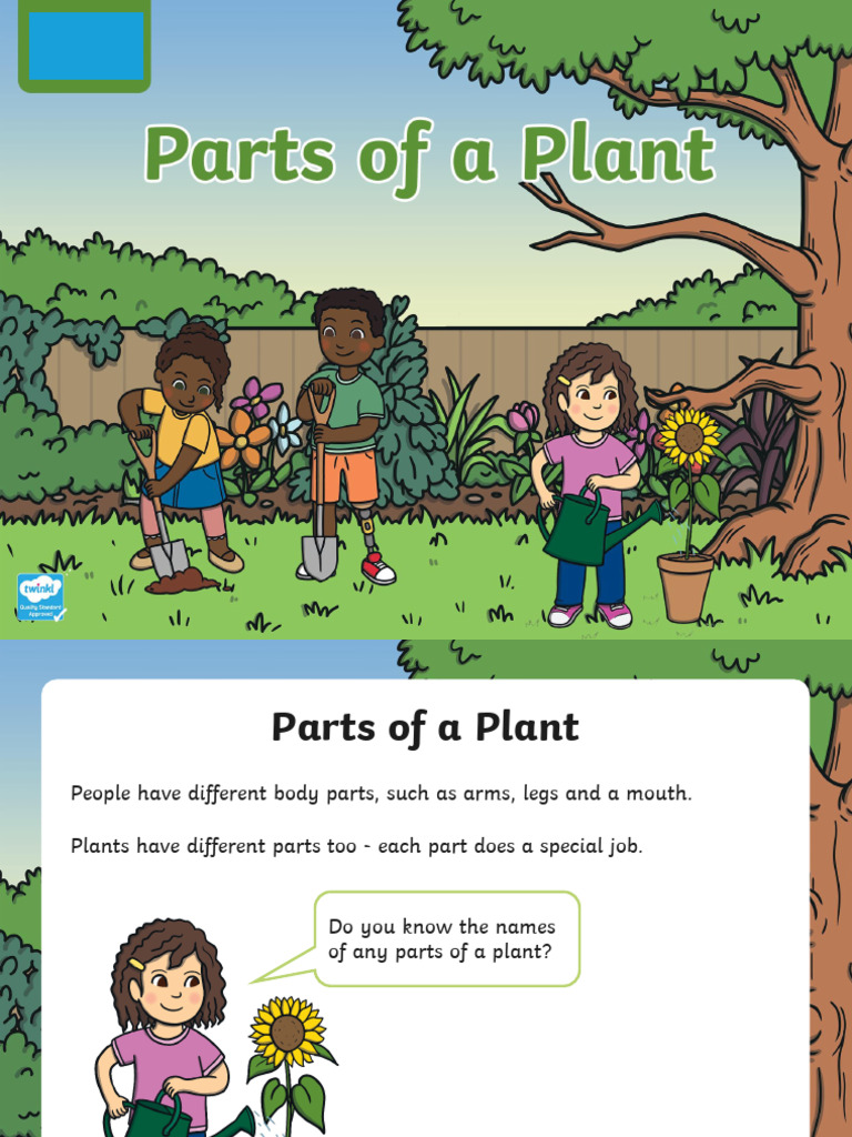 Parts of Plants 1026537403 | PDF