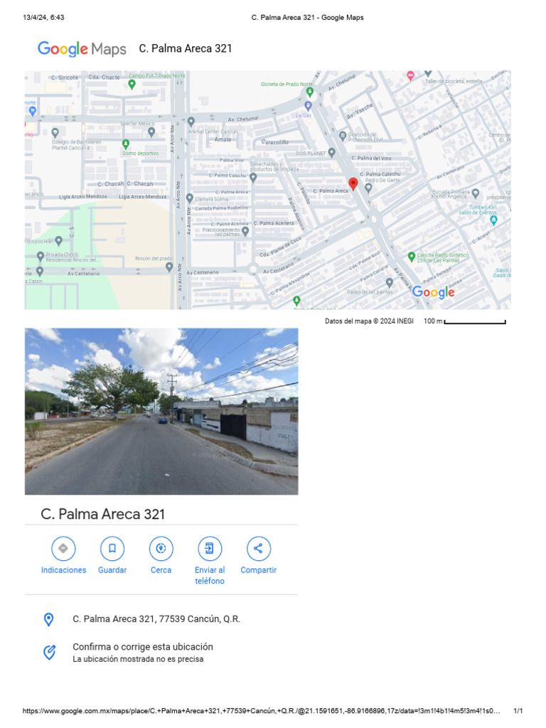 C. Palma Areca 321 - Google Maps | PDF