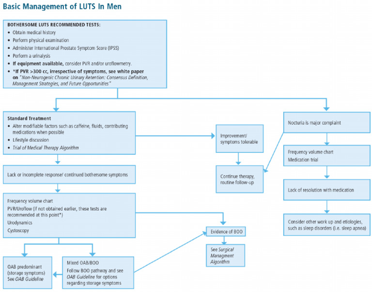 BPH Basic Management Algorithm | PDF