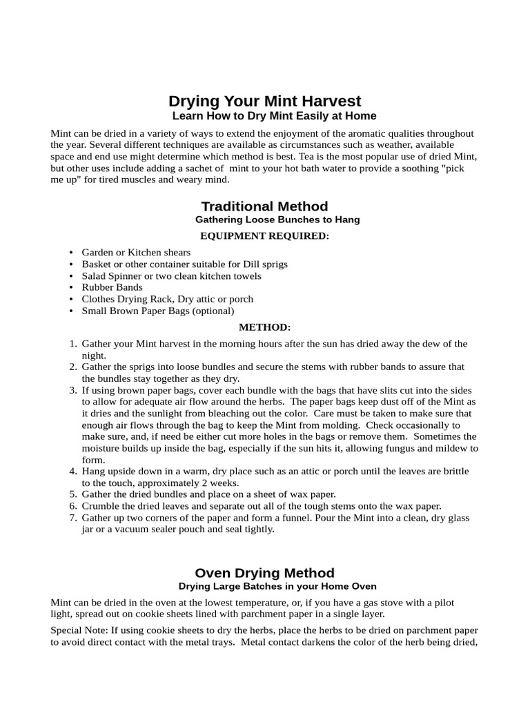 New OpenDocument Text | PDF